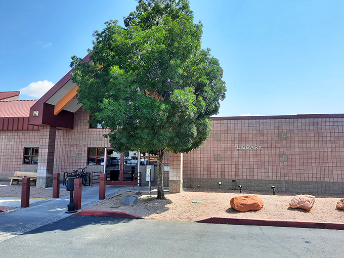 Knowledge lives here in brick and mortar, where community gathering feels as important as book borrowing.