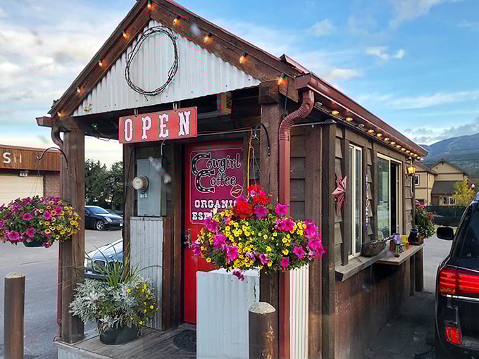 Cowgirl Coffee's tiny cabin-like structure bursts with colorful flowers, proving that in Whitefish, even your caffeine fix comes with a side of mountain charm.
