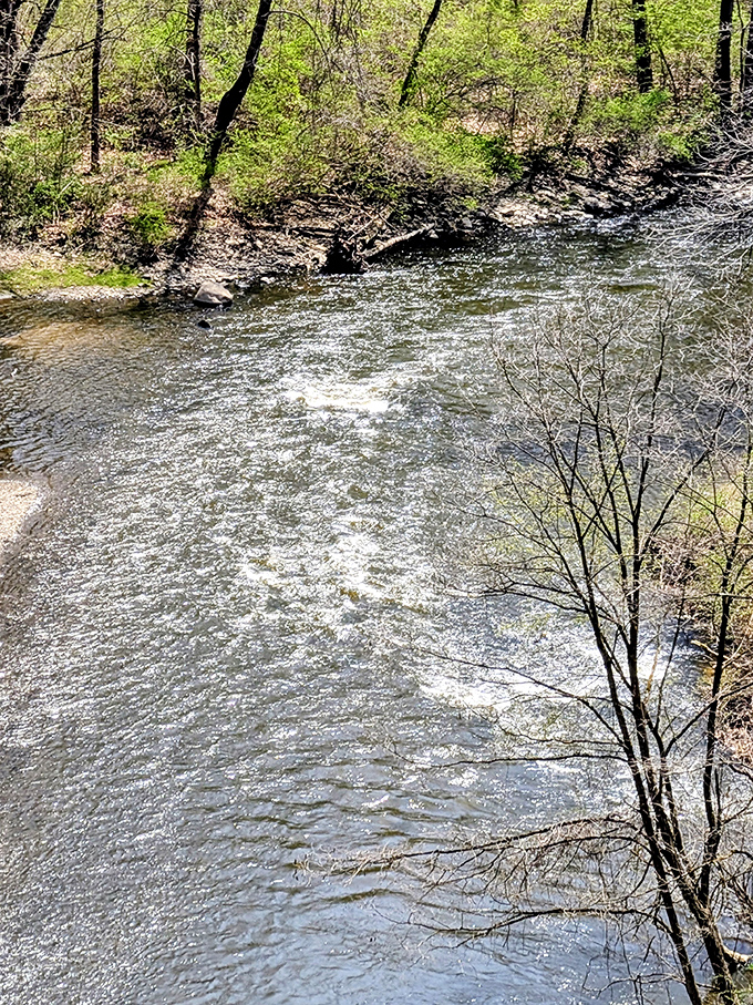 The Cuyahoga's gentle current carries sunlight downstream. This river's redemption story is one of America's greatest environmental comebacks.