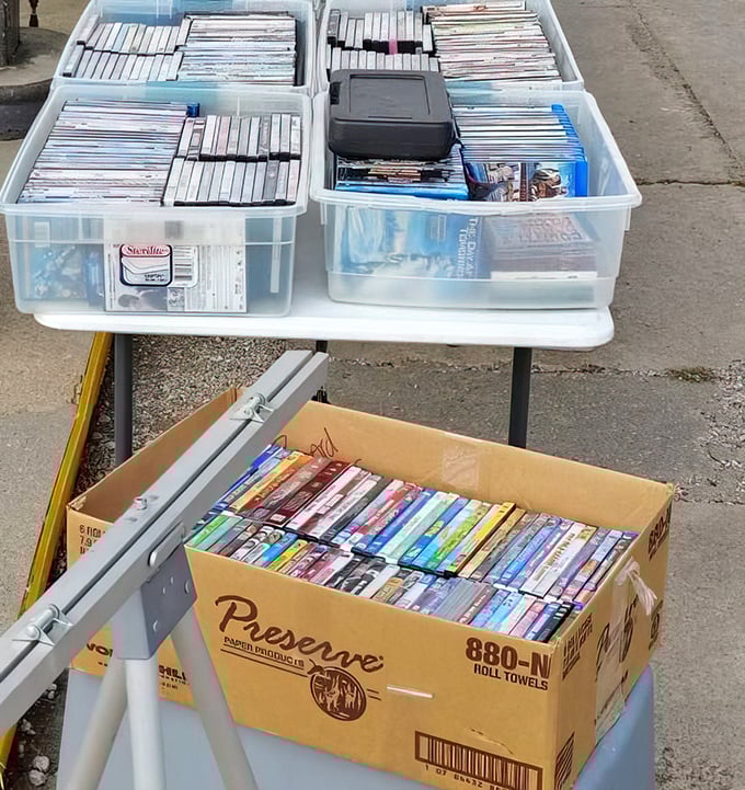 Movie night gold mines! These DVD collections offer endless entertainment possibilities for less than the price of a single streaming subscription.