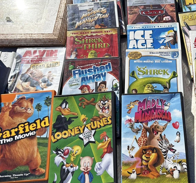 Family movie night gold mine! From Shrek to Ice Age, these DVDs are ready to entertain another generation of popcorn-munching viewers.