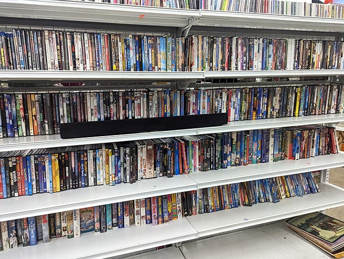 DVD shelves offer a time capsule of entertainment history. From blockbusters to obscure documentaries, it's Netflix in physical form, minus the monthly subscription.