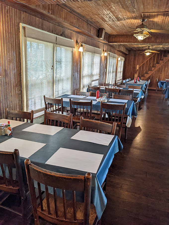 Sunlight streams through windows onto blue tablecloths&mdash;nature's way of highlighting where the magic happens.