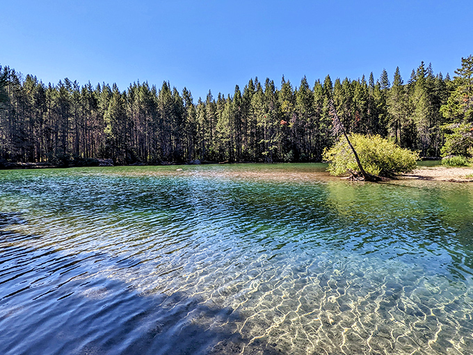 Donner State Park's emerald waters reflect the surrounding pines, offering tranquility that belies its dramatic place in California history.