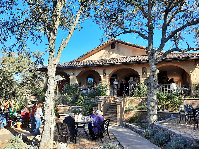 Dorner Family Vineyard pairs award-winning wines with mountain vistas, proving California wine country extends beyond Napa and Sonoma.