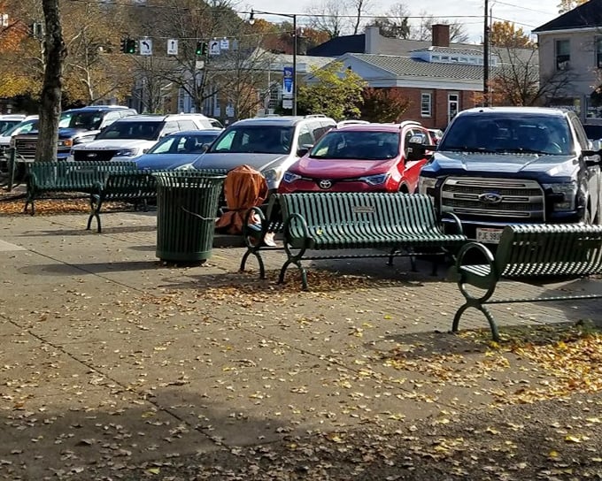 Autumn transforms downtown into nature's own decorating scheme, with leaves providing free confetti for everyday celebrations.