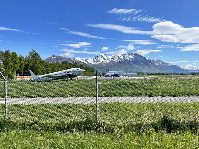 The arboretum's trails wind through green spaces where you can pretend you're discovering nature while staying conveniently close to coffee.
