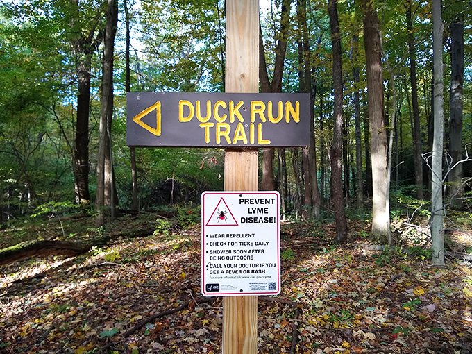 Duck Run Trail: where waterfowl have the right of way and ticks are the only unwelcome visitors.
