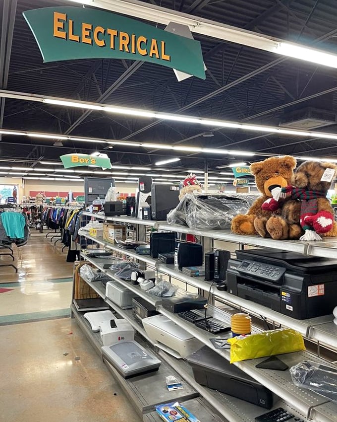 The electrical section, where vintage teddy bears supervise printers and gadgets enjoying their second act in the technological circle of life.
