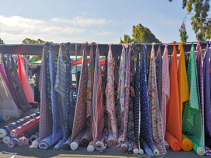 Fabric rolls standing at attention like colorful soldiers, each one holding the potential for curtains, quilts, or creative inspiration.