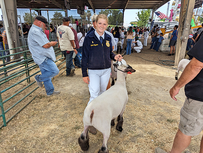 Future farmers showcase their livestock at Colusa's agricultural events, where raising prize animals teaches responsibility and continues family traditions.