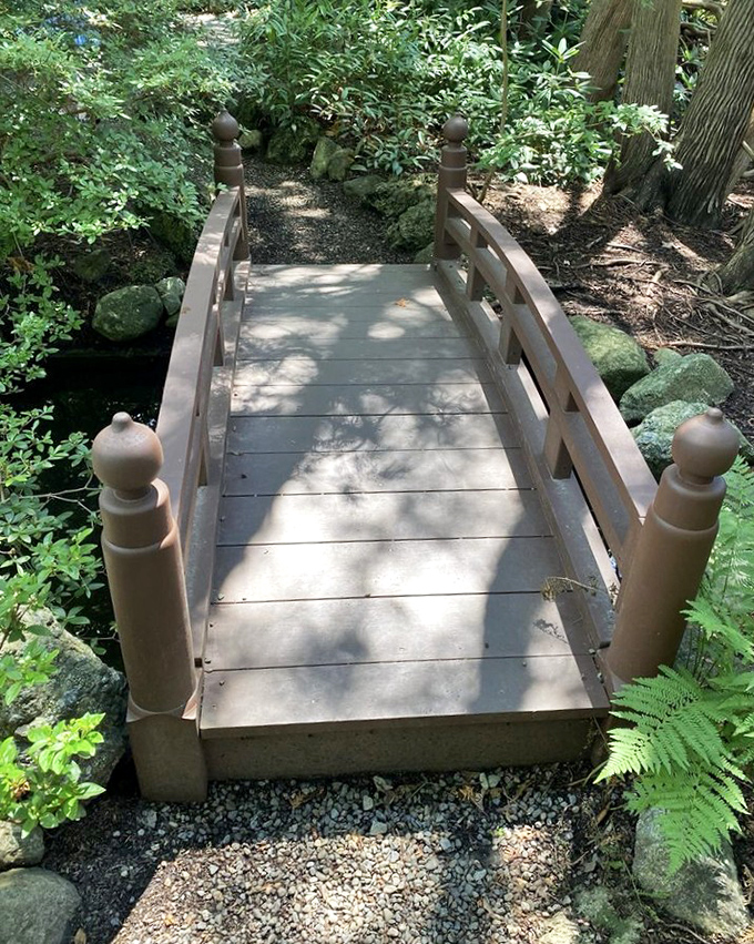 This footbridge invites you to cross into the shady unknown &ndash; adventure awaits on the other side.