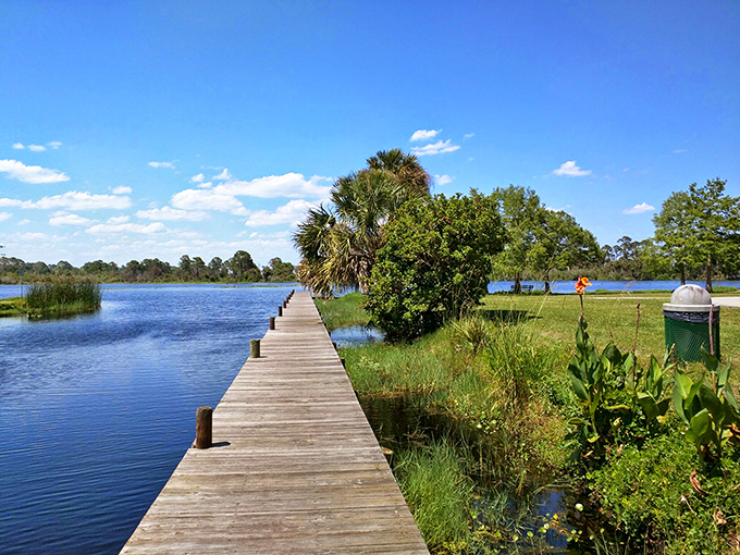 Fox Lake Park's wooden walkway invites contemplative strolls where the only notification is the occasional fish jumping or bird calling.