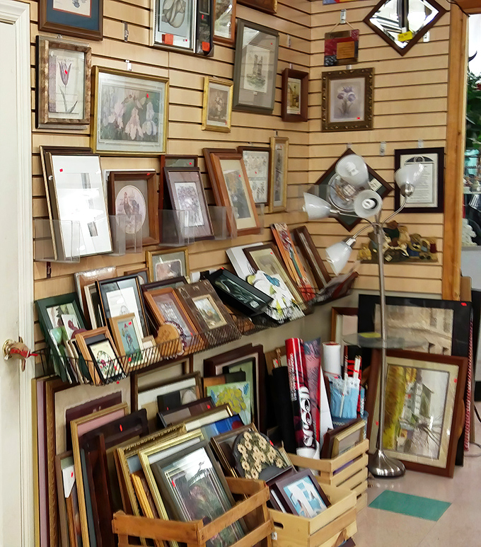 Wall art for days! From vintage prints to quirky frames, here's where bare walls meet their affordable match.