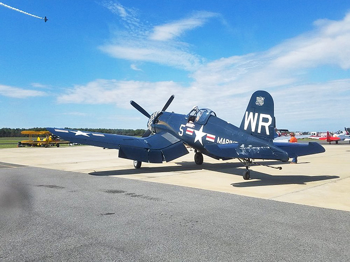 This vintage warbird at a local airshow reminds us of Tallulah's connection to aviation history, a rare glimpse of the past that still soars.