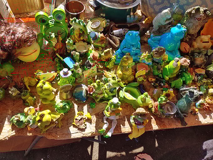 Frog figurine fever! This amphibian army stands ready to invade garden edges and bookshelves across San Diego County.