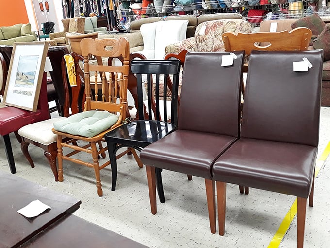 Chair personalities on display: from prim wooden dining seats to leather loungers, each with stories of family dinners and quiet evenings past.