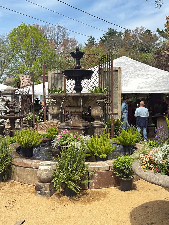Water features that bring instant character to any garden. This fountain display proves everything looks better with a gentle splash.