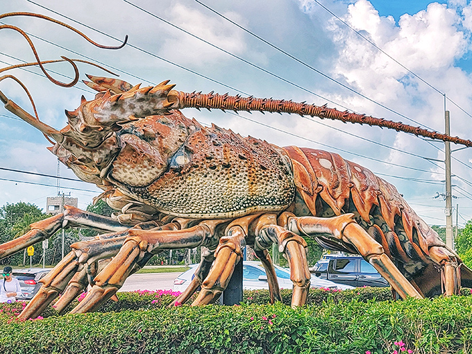 The lobster's impressive silhouette against the Florida sky creates what might be the most Keys photo opportunity ever conceived.