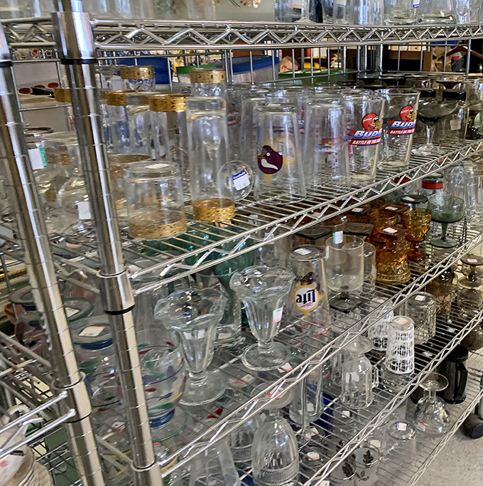 Glassware galore&mdash;from everyday tumblers to forgotten bar mitzvah gifts, all priced less than your morning latte.