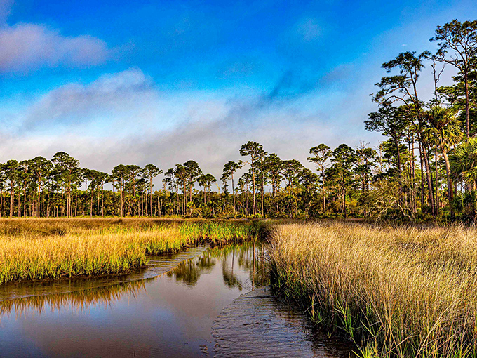 Golden grasses frame a meandering creek that reflects the sky so perfectly you'll wonder which way is up.