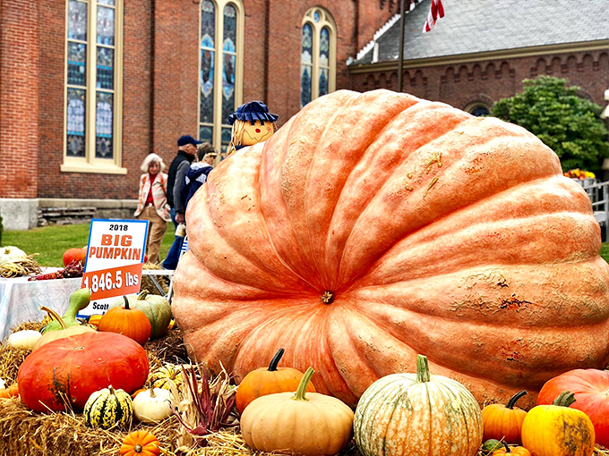 Giant pumpkins at autumn festivals remind you that Connecticut agriculture produces some genuinely impressive specimens worth celebrating together.