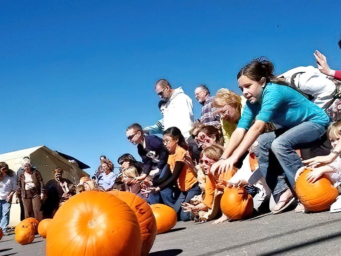 The Great Pumpkin Race brings out competitive spirits and creative decorating skills, proving adults never outgrow the joy of playing with produce.