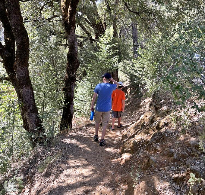 Family adventures create stronger bonds than any team-building exercise. These forest trails are memory-makers disguised as dirt paths.