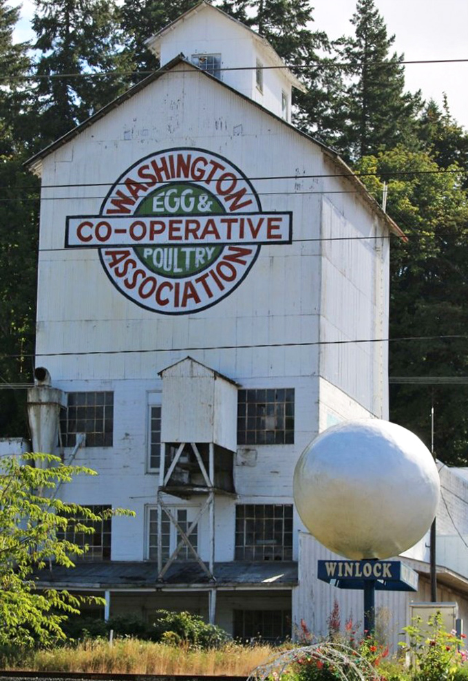 The historic Washington Egg & Poultry Co-operative building stands as a testament to Winlock's agricultural heritage, with its famous egg monument keeping watch nearby.