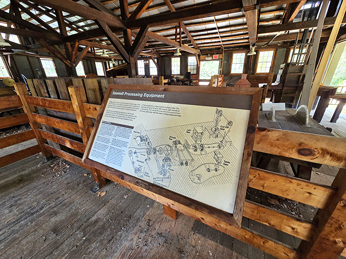 Inside the historic sawmill, time stands still among the weathered beams and vintage equipment that once hummed with industrial purpose.