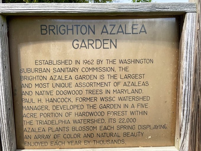 History preserved behind glass tells the story of this horticultural treasure, established in 1962 and still dazzling visitors six decades later.