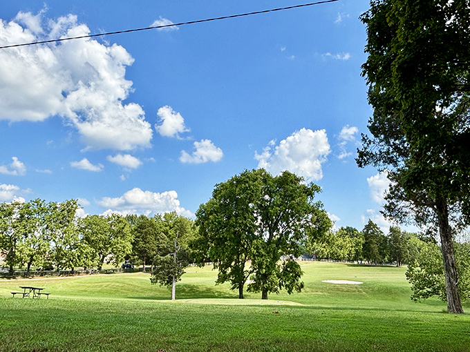 Bardstown's parks offer peaceful respite from the rigors of retirement. This green expanse invites contemplation, picnics, and the occasional nap under Kentucky's generous sky.