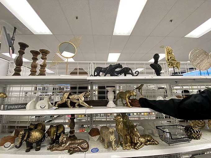 Gold elephants and sleek panthers&mdash;home d&eacute;cor that makes guests wonder if you've been secretly shopping at high-end boutiques.