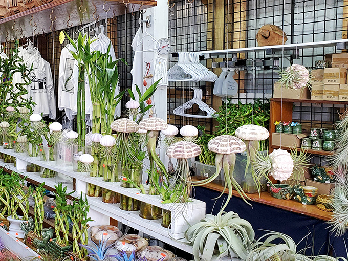 Delicate air plants and jellyfish-like decorations bring the outdoors in. Perfect for those who want the look of a green thumb without the responsibility.