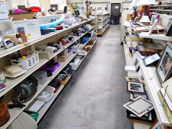 Kitchen gadgets, picture frames, and mysteries aplenty. This aisle answers the question: "What exactly is that thing and why do I suddenly need it?"