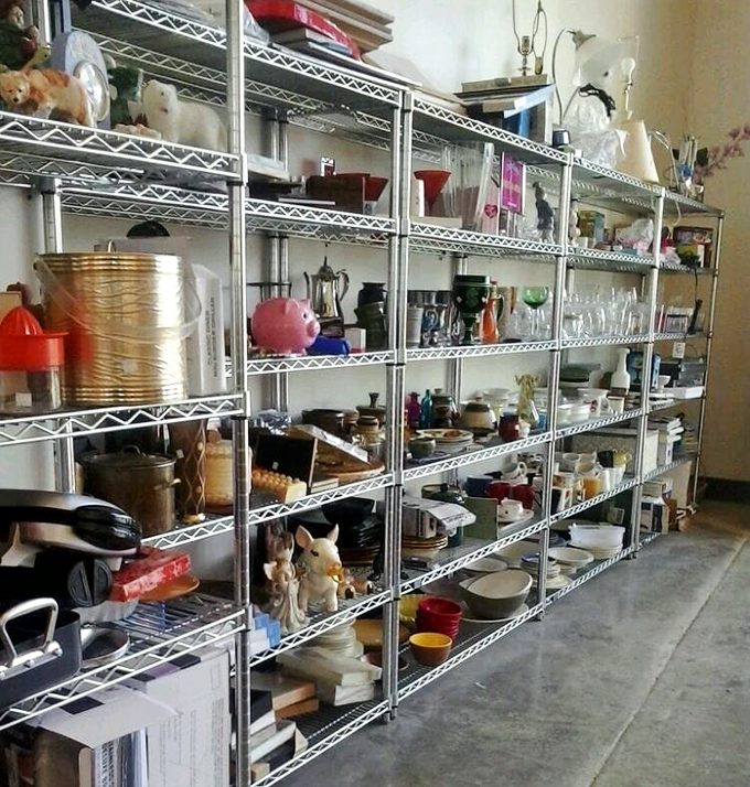 Treasure-hunter's paradise where everyday essentials mingle with quirky collectibles. That piggy bank might just fund your next thrifting adventure!