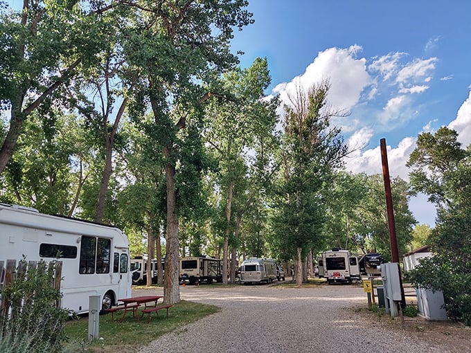 At Indian Campground & RV Park, the trees provide more natural air conditioning than any luxury hotel could engineer.