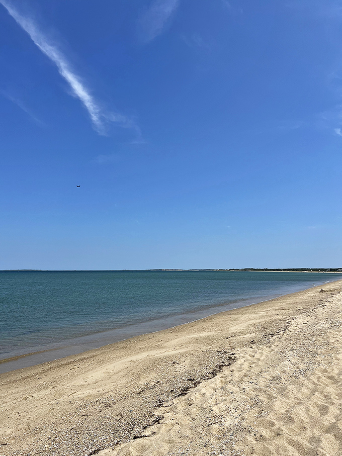 Joseph Sylvia State Beach stretches toward the horizon, offering the simple pleasures of sand between toes and the hypnotic rhythm of gentle waves.
