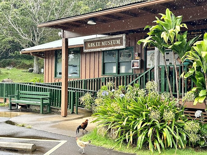 The little museum that could! Small in size but mighty in information, it's where you'll learn why that plant you just touched might have been a bad idea.