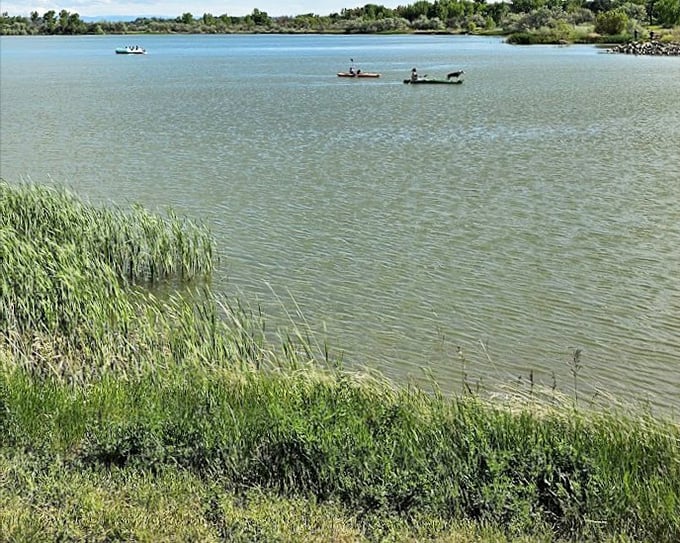 Kayakers navigate Lake Elmo's crystal waters like explorers discovering new territory, though the snack bar is reassuringly close by.