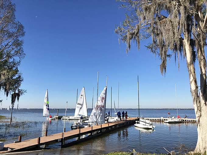 Lake Eustis Sailing Club proves you don't need an ocean to capture that perfect sailing day&mdash;just add water and Florida sunshine.