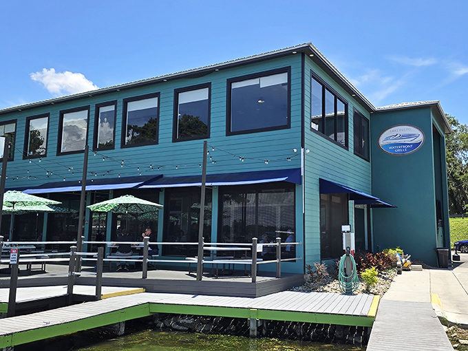 The Lake Eustis Waterfront Grille serves up views as satisfying as the seafood &ndash; proving that waterfront dining doesn't require a second mortgage or a reservation made last year. 