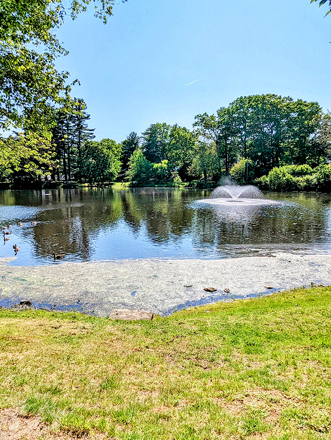 Campus green spaces invite students and locals alike to enjoy Connecticut's perfect spring days, where textbooks and picnics make natural companions.