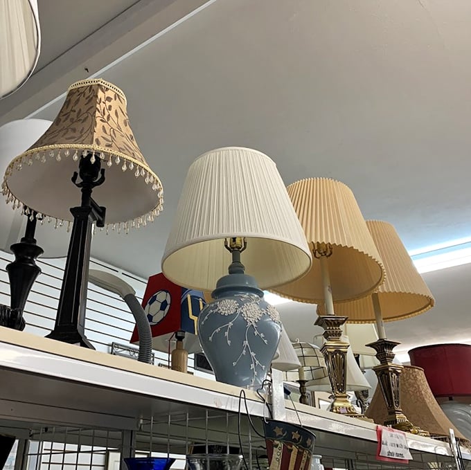 Lampshade paradise where your perfect match awaits. That blue ceramic base has been waiting for someone who appreciates its subtle curves.