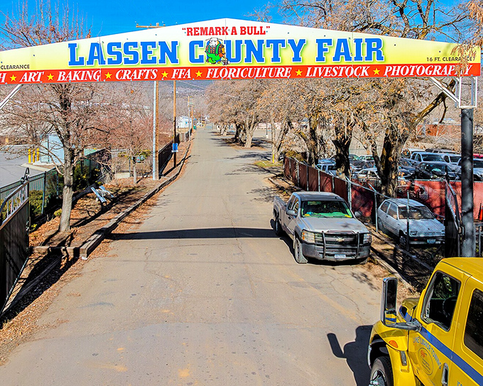 The Lassen County Fair entrance promises the holy trinity of rural entertainment: livestock competitions, craft displays, and food on sticks.