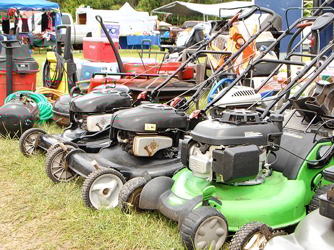 Lawn care lineup ready for action! These pre-loved mowers prove that someone else's upgrade is your opportunity to save serious green.