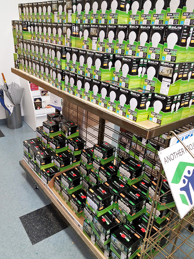 Illuminating deals! These energy-efficient bulbs prove that brightening your home and lightening your utility bills can happen simultaneously.