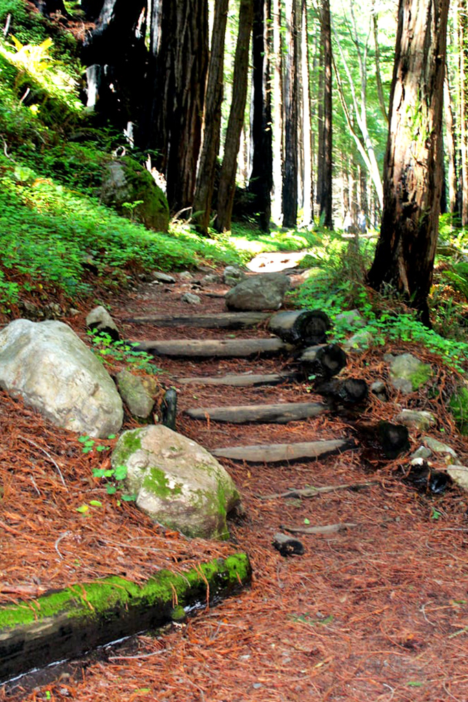 Rustic steps carved into the forest floor, inviting hikers to a real-life stairway to heaven that even Led Zeppelin would approve of.