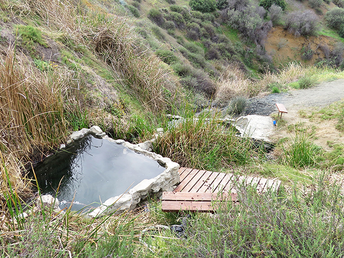 Natural hot springs tucked into hillsides offering therapeutic soaks that spa resorts charge hundreds to barely replicate.