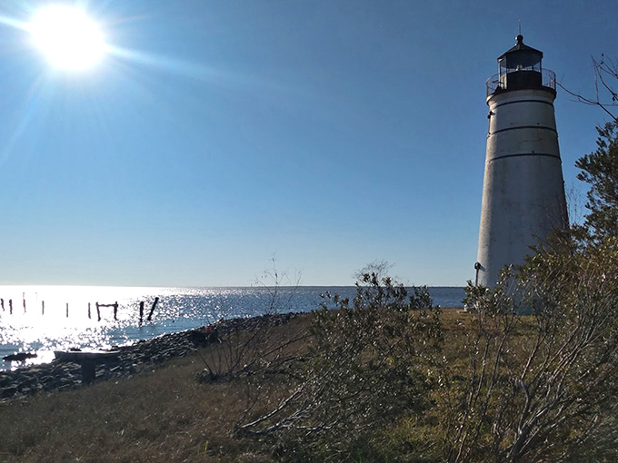 Morning light reveals the lighthouse's impressive stature, its conical form tapering skyward like a maritime exclamation point on Louisiana's landscape.